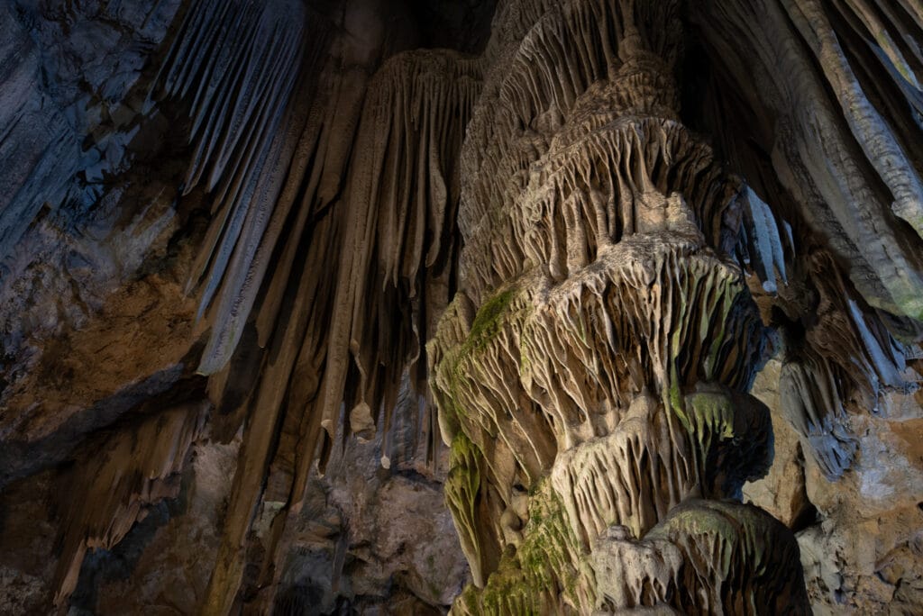 St Michael’s Cave • Gibraltar Nature Reserve
