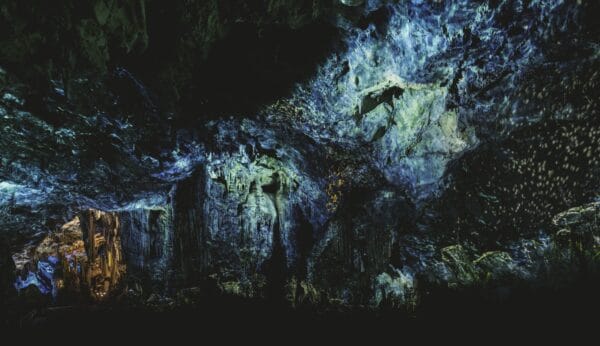 Gibraltar Nature Reserve • Official Site • Buy Tickets