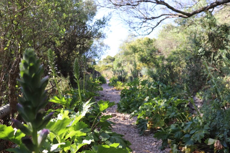 Gibraltar Nature Reserve • Official Site • Buy Tickets